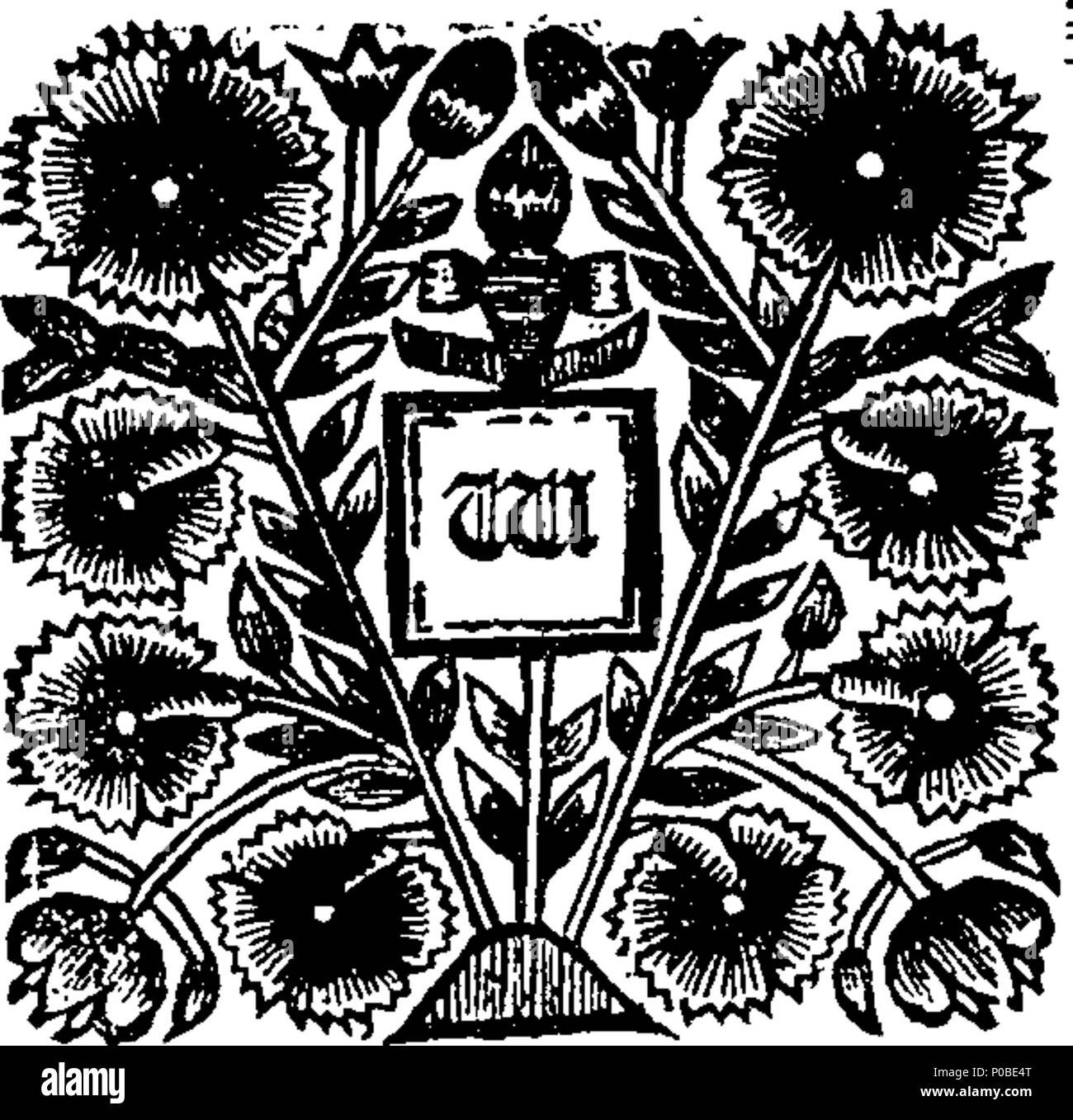 Incle Black and White Stock Photos & Images - Alamy