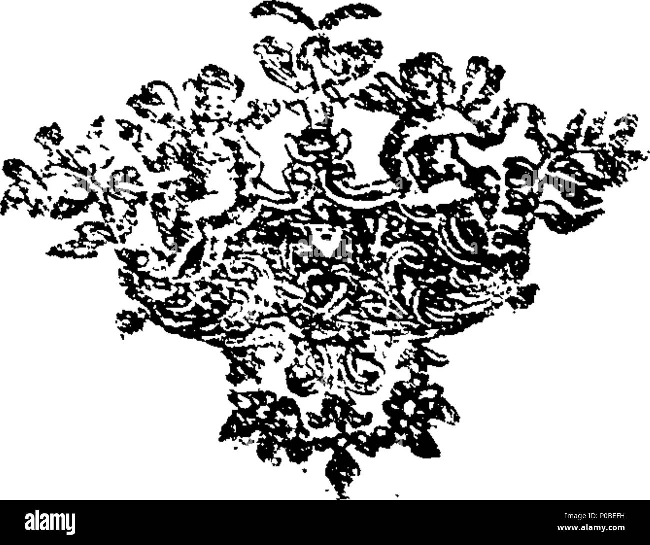 John the pious Black and White Stock Photos & Images - Alamy