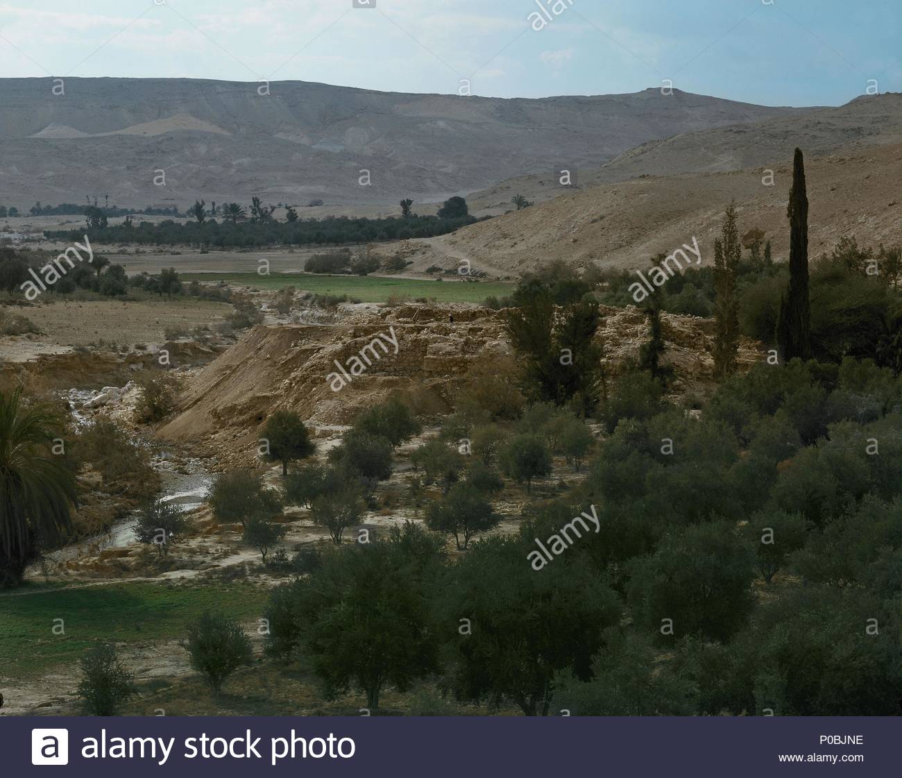 Kadesh Barnea Stock Photos & Kadesh Barnea Stock Images - Alamy