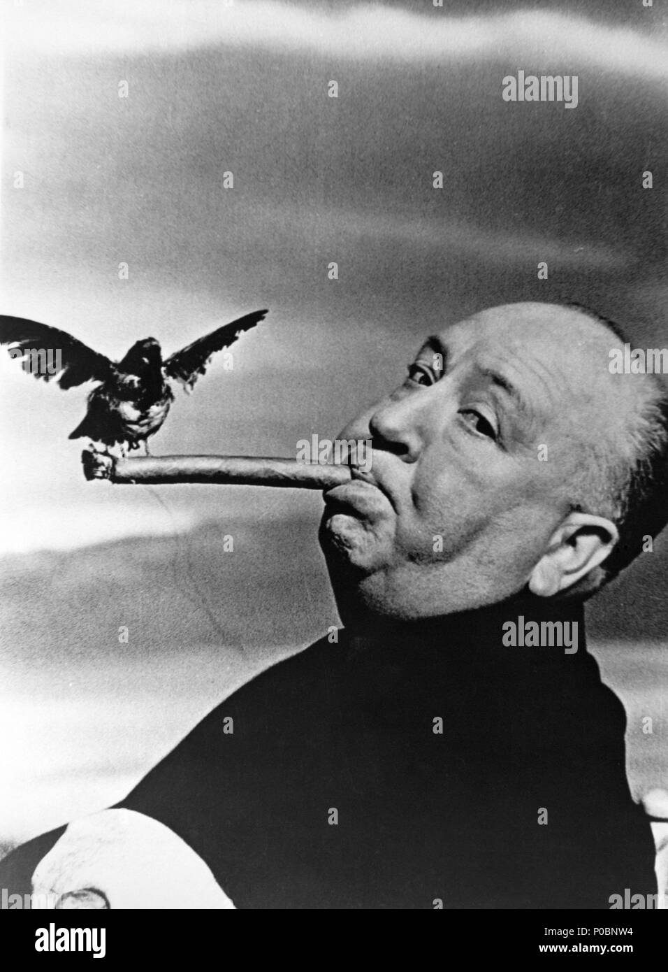 Alfred hitchcock bird cigar hi-res stock photography and images - Alamy