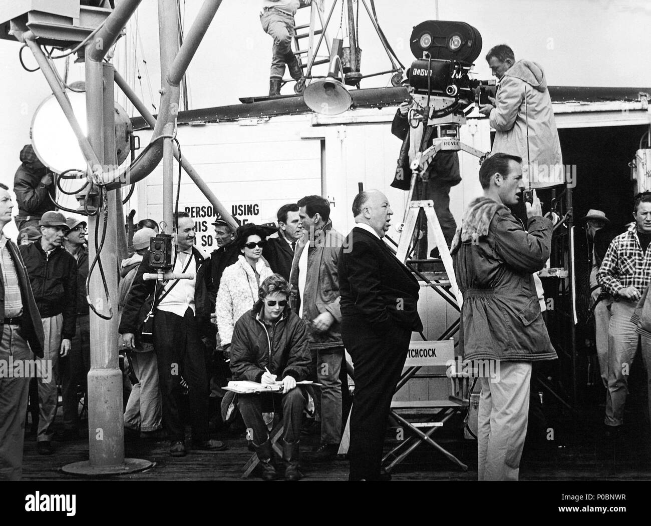 Original Film Title: THE BIRDS. English Title: THE BIRDS. Film Director ...