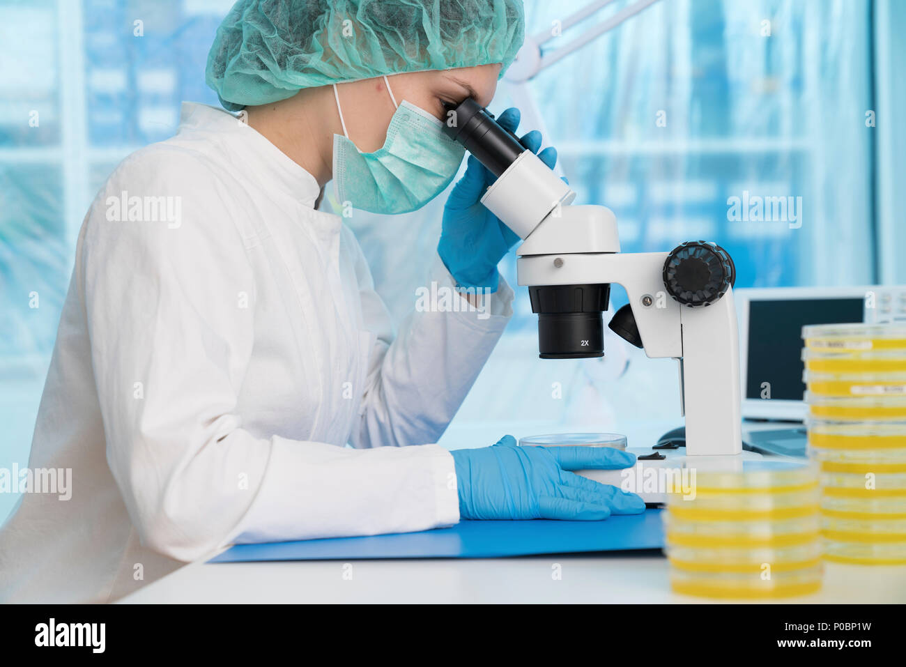 Light microscope bacteria hi-res stock photography and images - Alamy