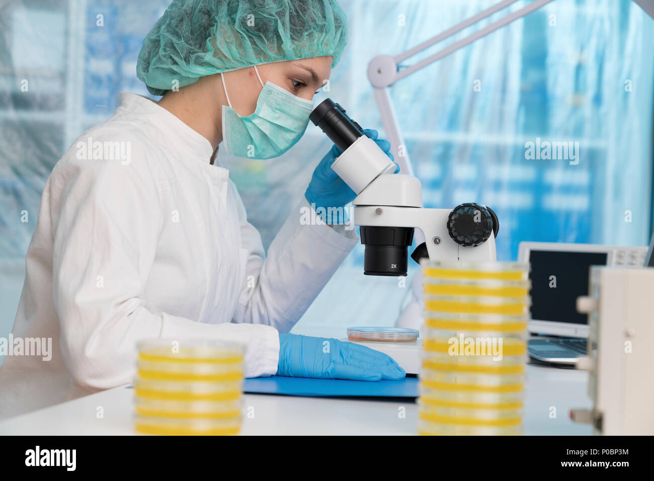Scientist using a light microscope to examine microbial growth on a ...