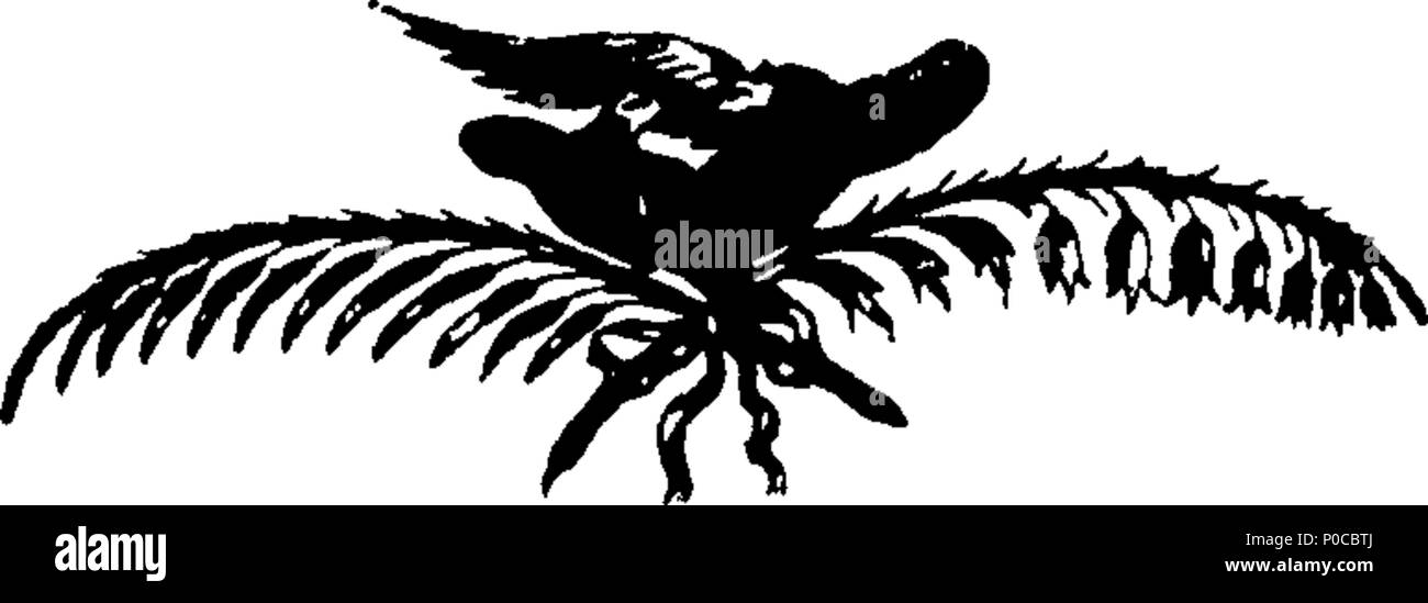 The harmonic society Black and White Stock Photos & Images - Alamy