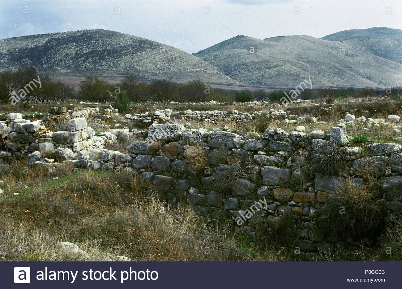 Tirzah Stock Photos & Tirzah Stock Images - Alamy