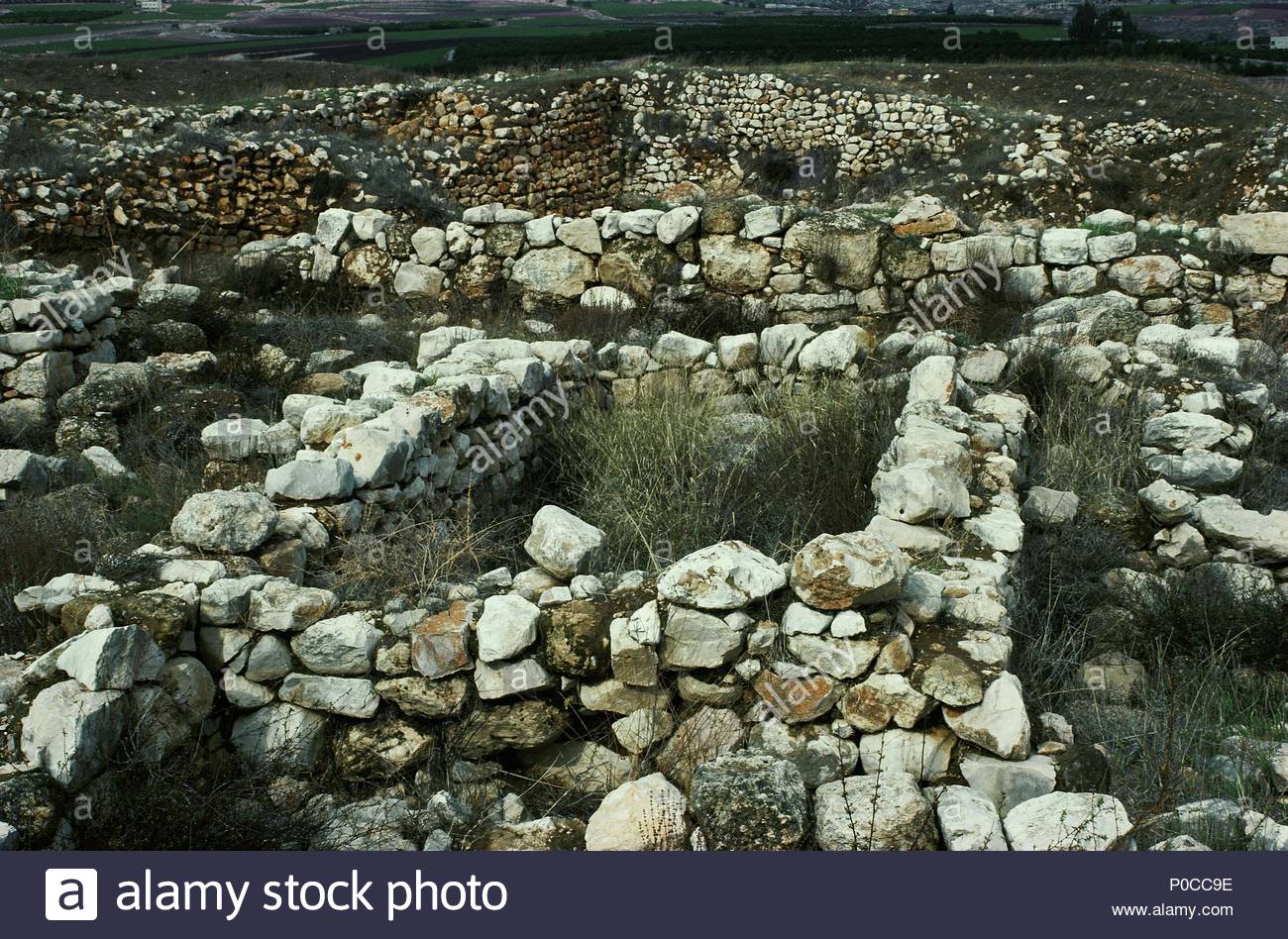 Tirzah Stock Photos & Tirzah Stock Images - Alamy