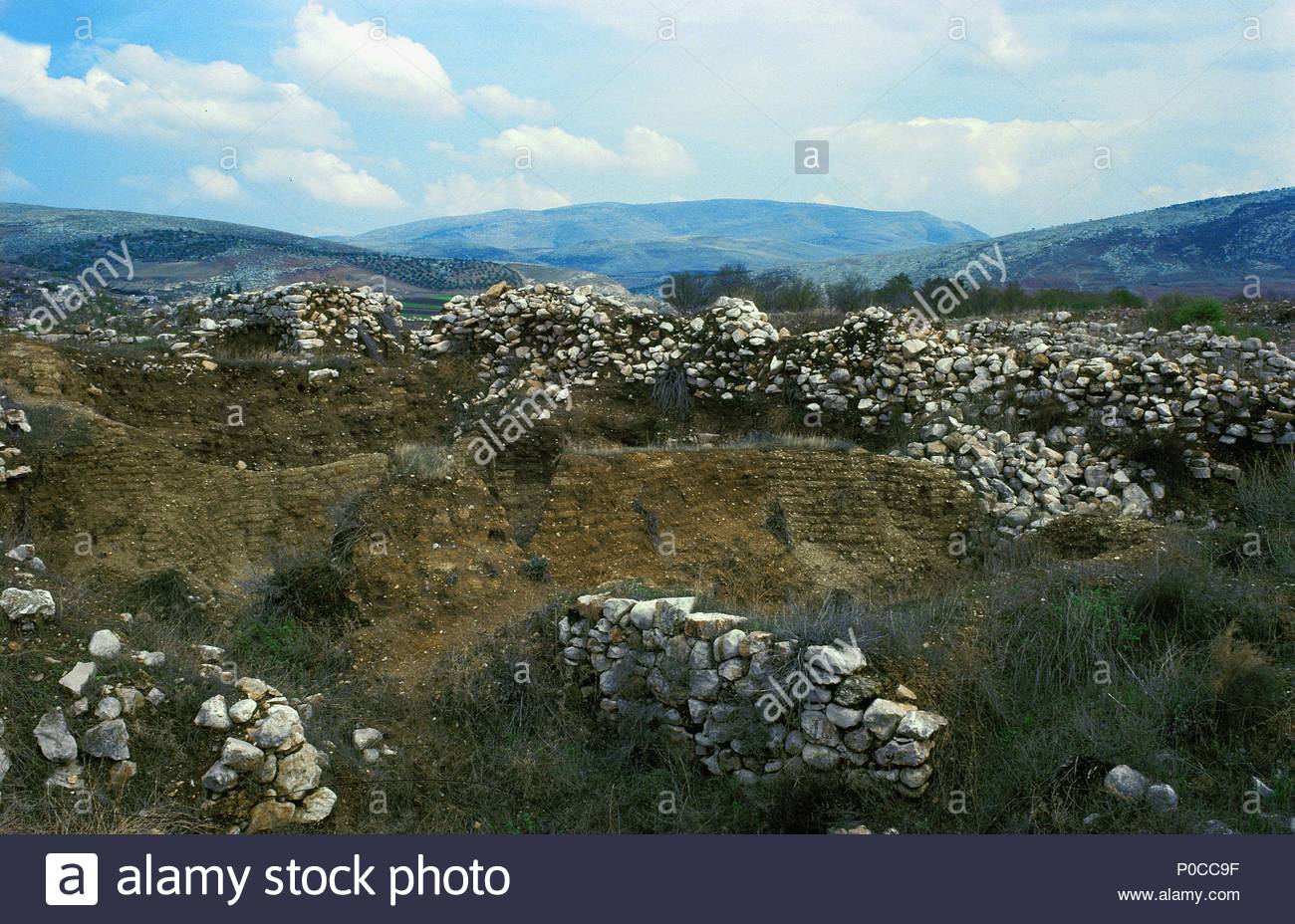 Tirzah Stock Photos & Tirzah Stock Images - Alamy