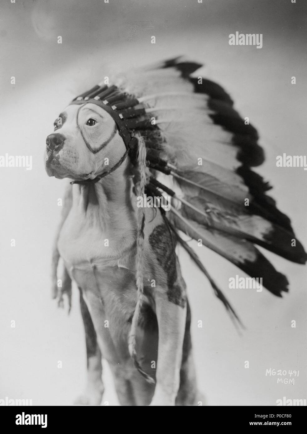 Our Gang Hal Roach High Resolution Stock Photography and Images - Alamy