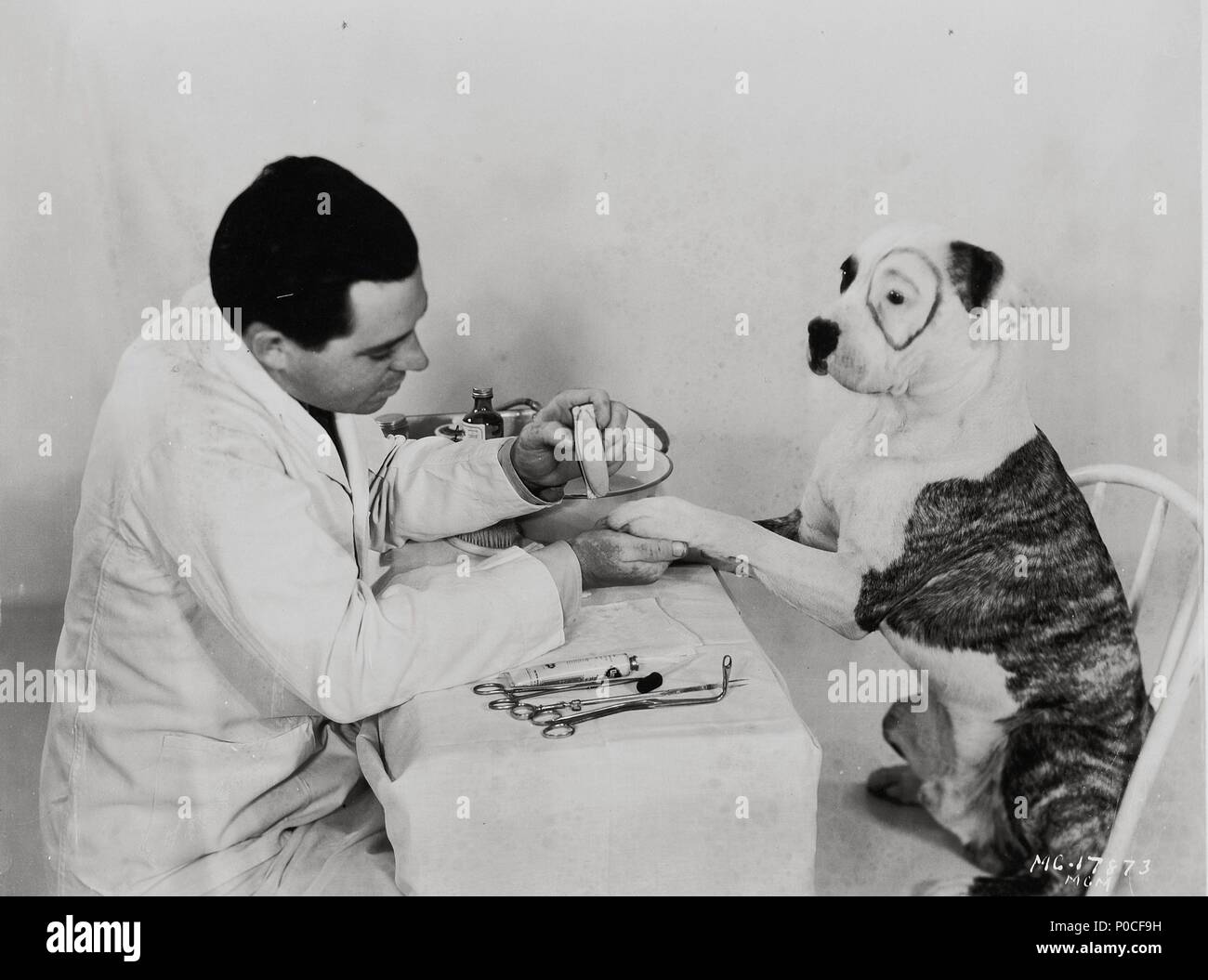 Original Film Title: OUR GANG. English Title: OUR GANG. Film Director: ROBERT F. MCGOWAN. Year ...