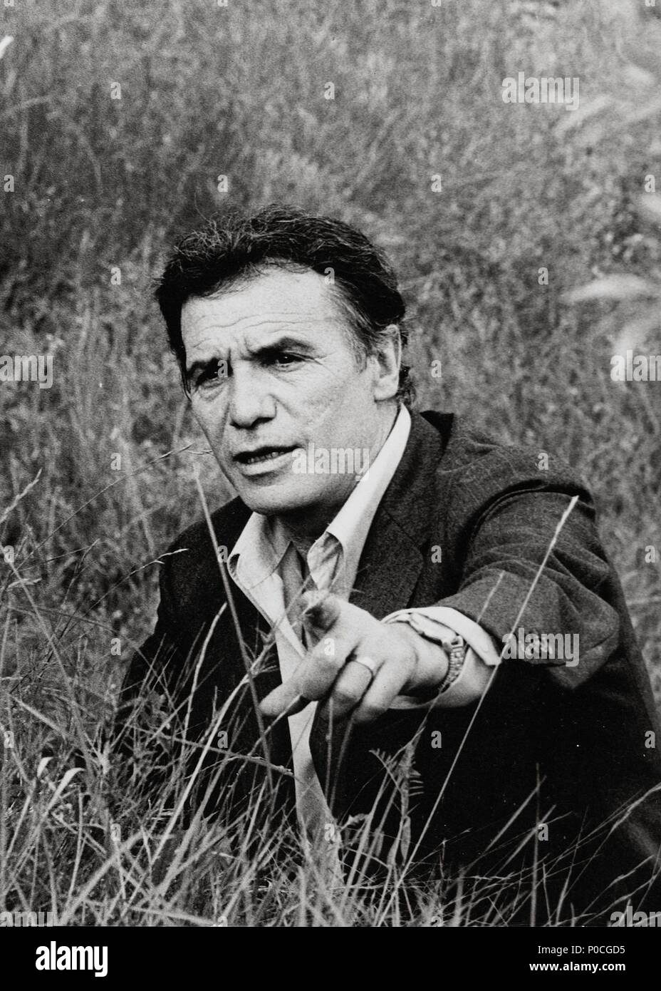 Stars: FRANCISCO RABAL Stock Photo - Alamy