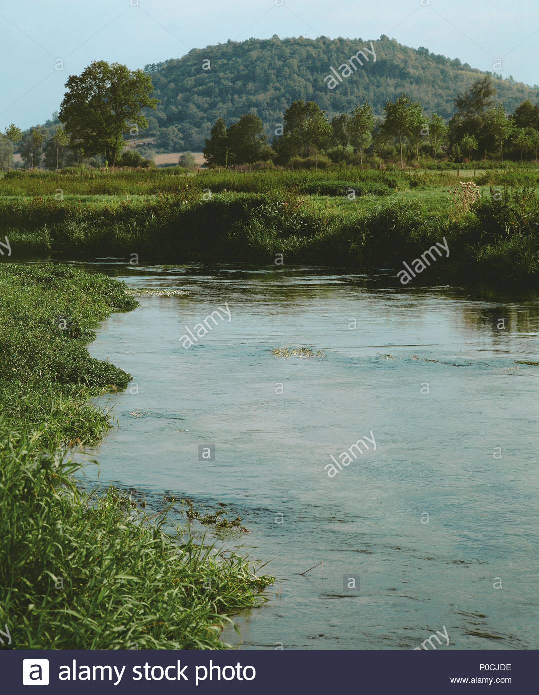 Vix Stock Photos & Vix Stock Images - Alamy