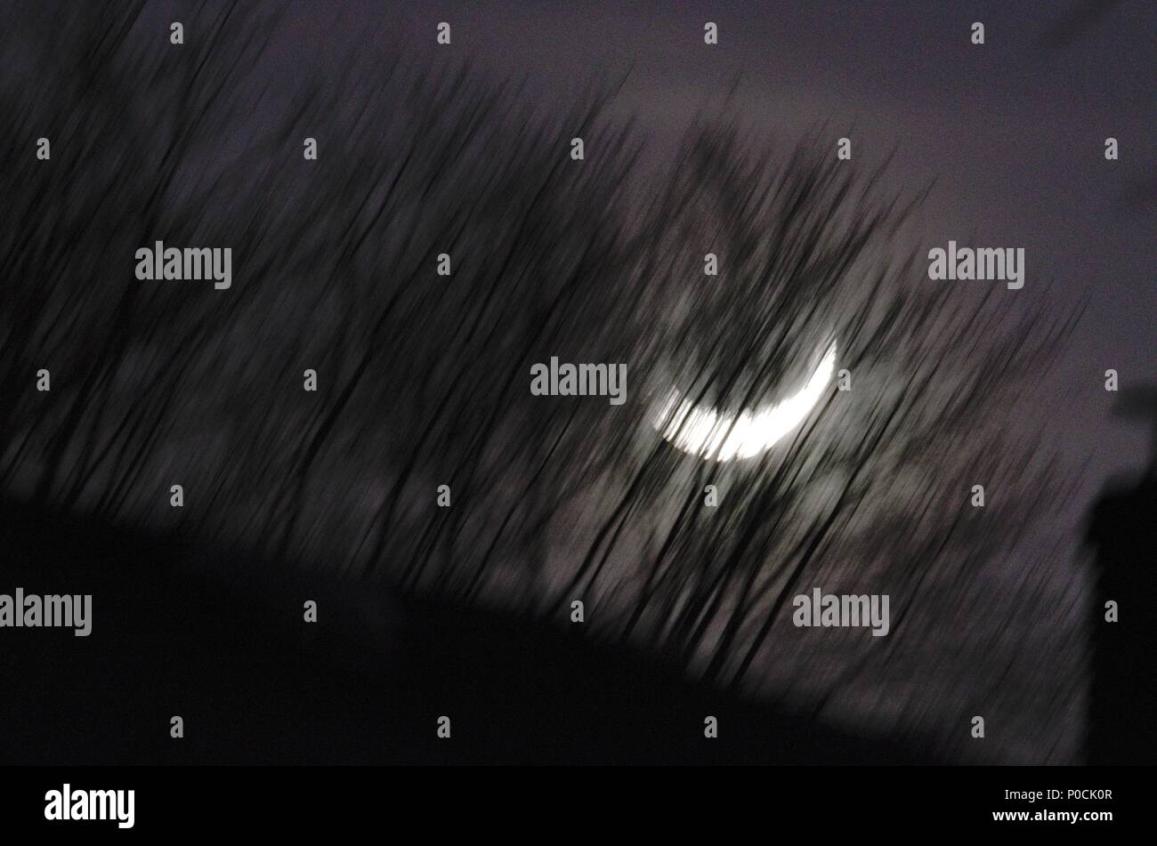 Crescent Moon rising over trees in the fall Stock Photo - Alamy