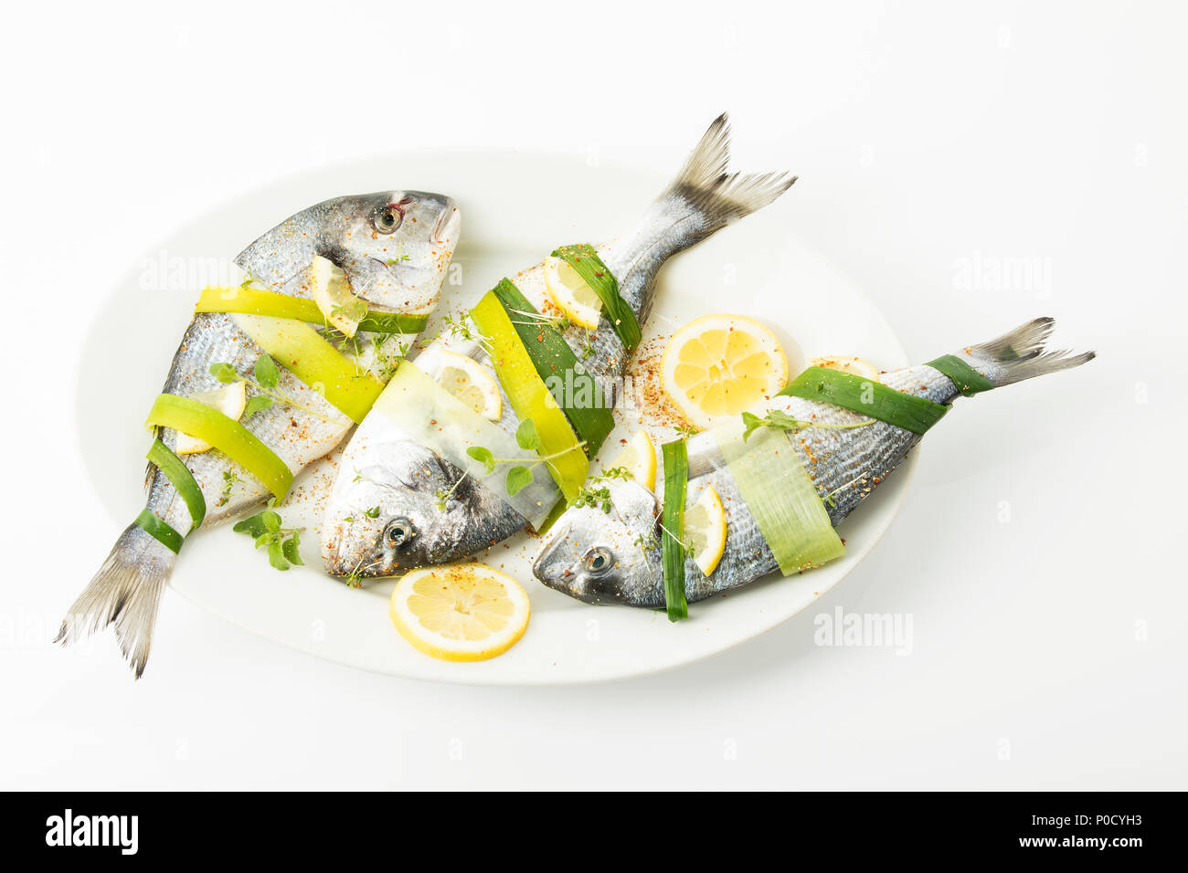 Doraden, Goldbrassen, (Sparus aurata), Studio Stock Photo - Alamy