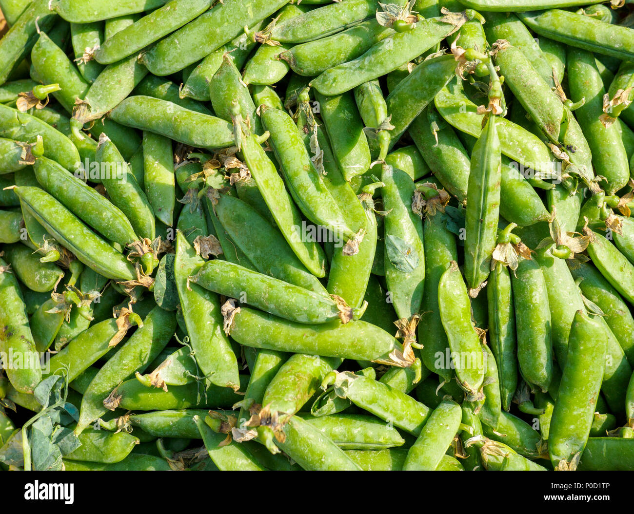 Lots of peas hi-res stock photography and images - Alamy