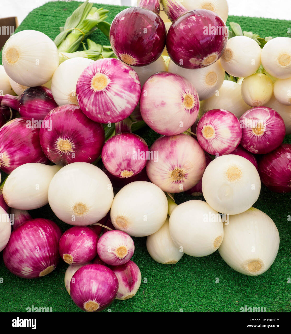 Assorted Fresh Onion bulbs and Stalks on a table Stock Photo - Alamy
