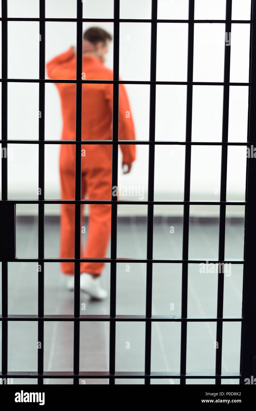 rear view of prisoner in prison cell with metallic bars on foreground ...