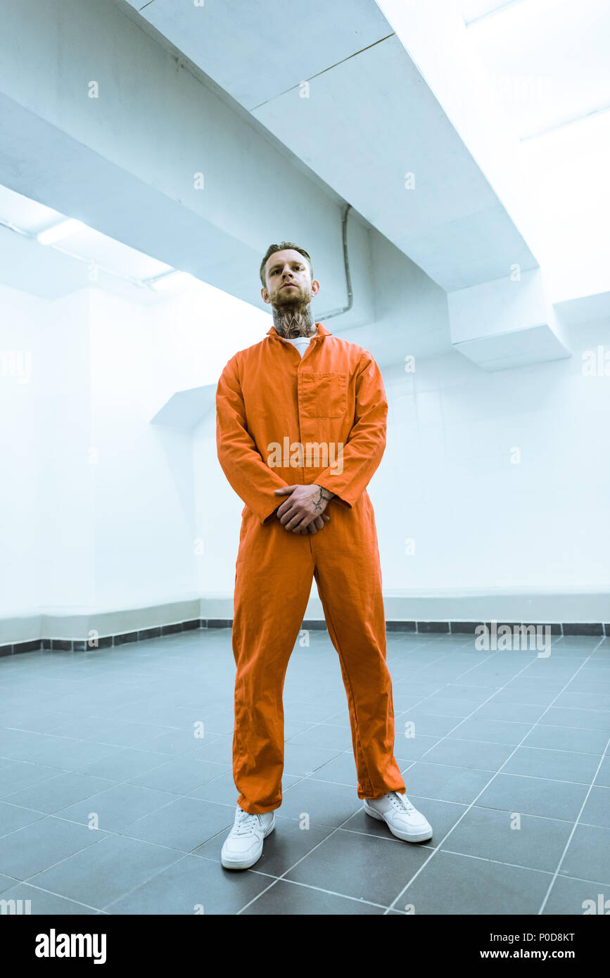 bottom view of tattooed prisoner standing in prison cell Stock Photo ...