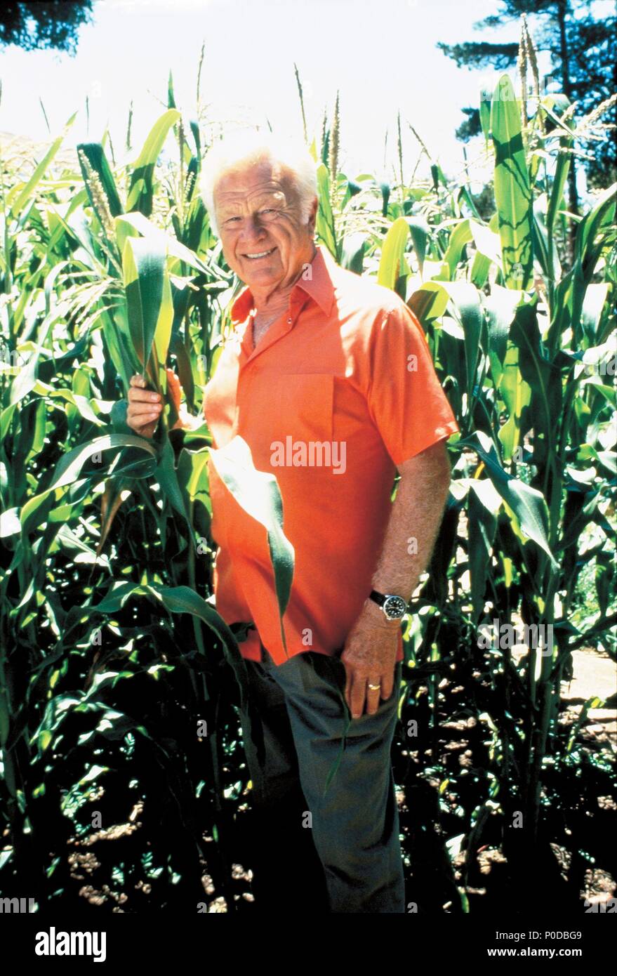 Stars: EDDIE ALBERT Stock Photo - Alamy