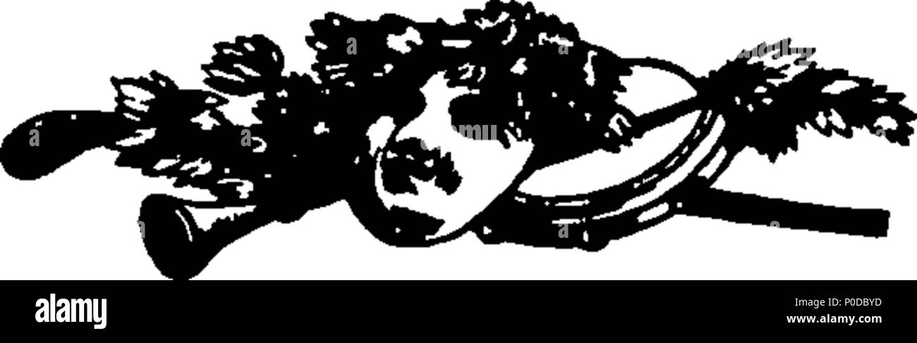 . English: Fleuron from book: A specimen of printing types, by Fry ...