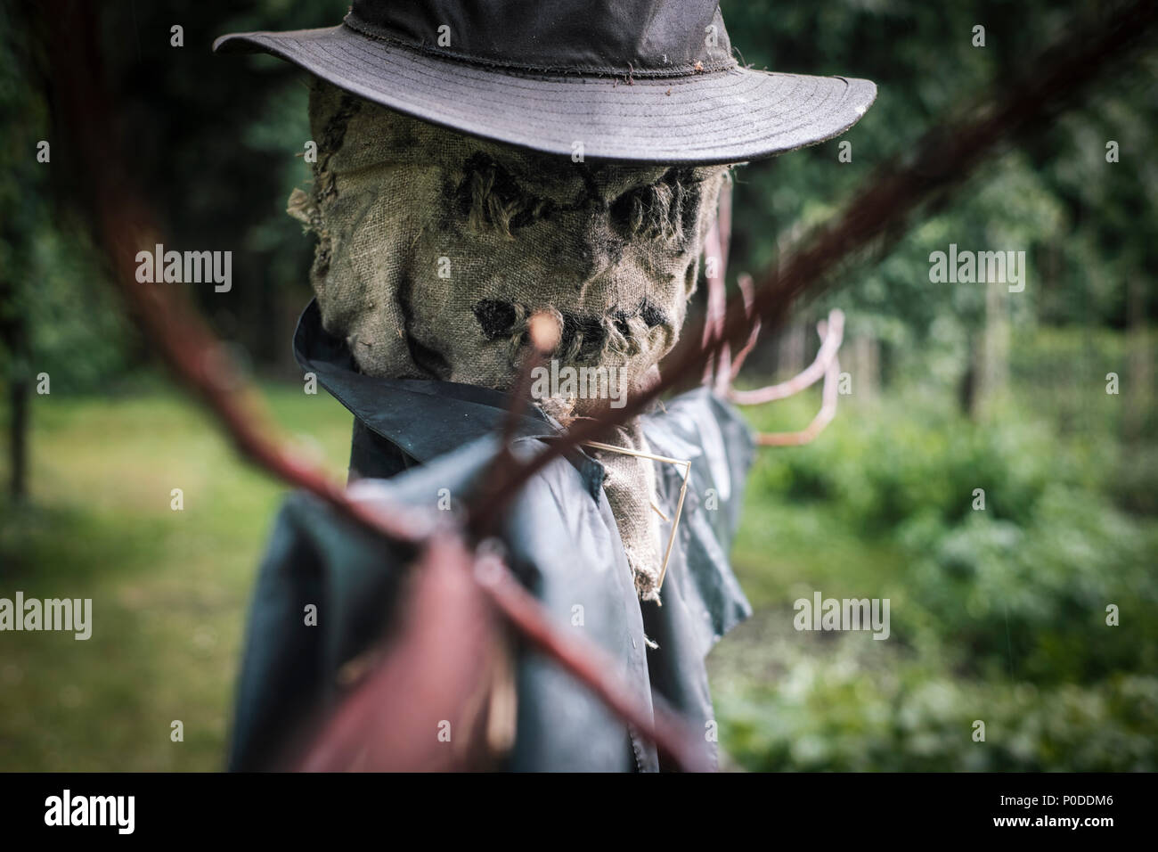 Scary scarecrow in a hat Stock Photo - Alamy