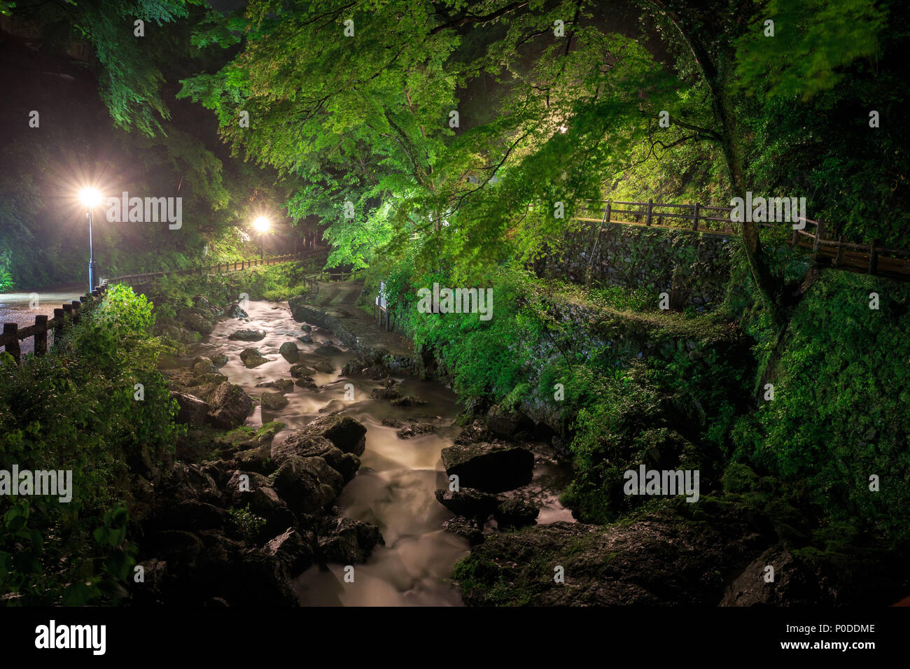 Small river flowing under bright green trees at night Stock Photo - Alamy