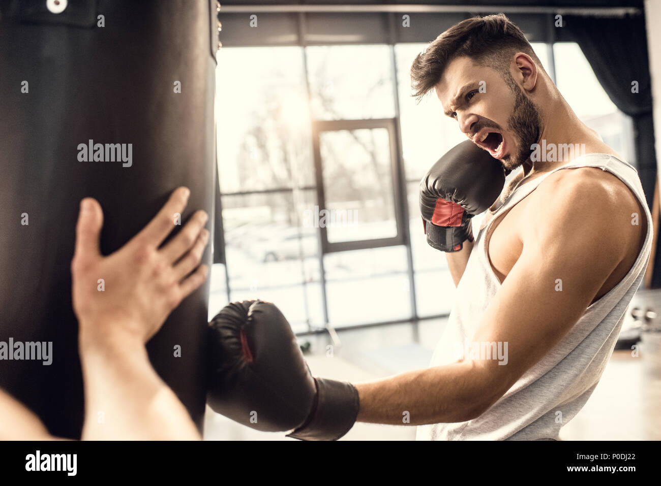 aggressive young boxer training with punching bag in gym Stock Photo ...