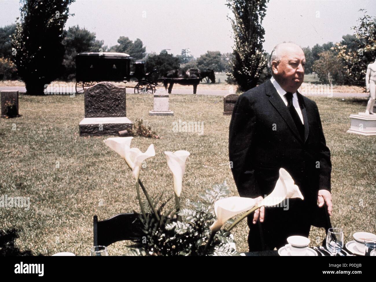 Original Film Title: FAMILY PLOT. English Title: FAMILY PLOT. Film ...