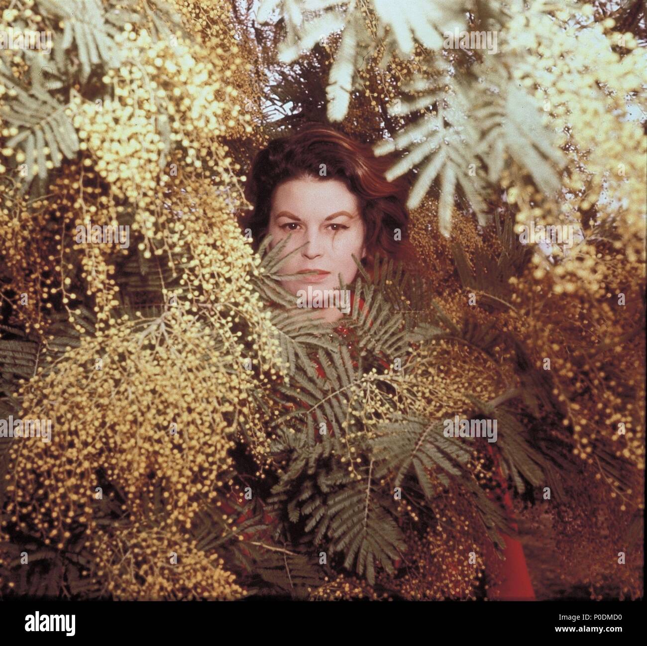 Silvana mangano portrait hi-res stock photography and images - Alamy