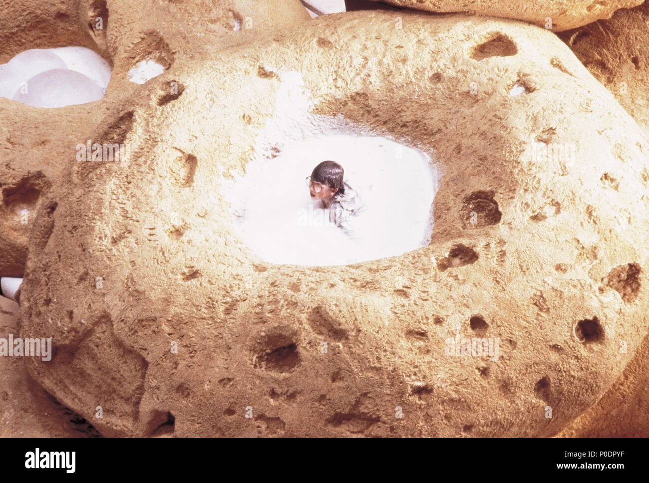 Original Film Title: HONEY, I SHRUNK THE KIDS. English Title: HONEY, I ...