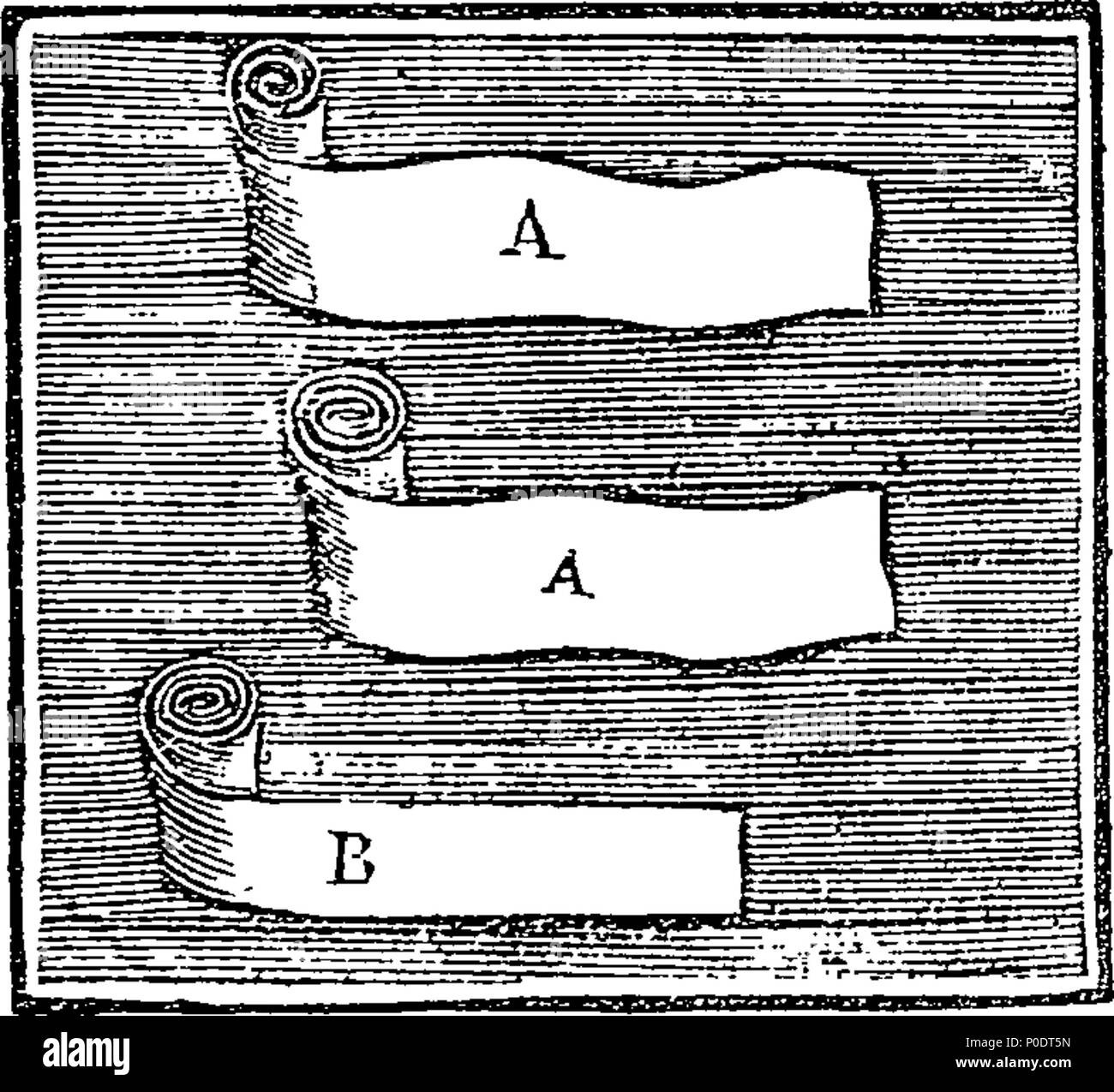 . English: Fleuron from book: A treatise of the diseases of the bones ...