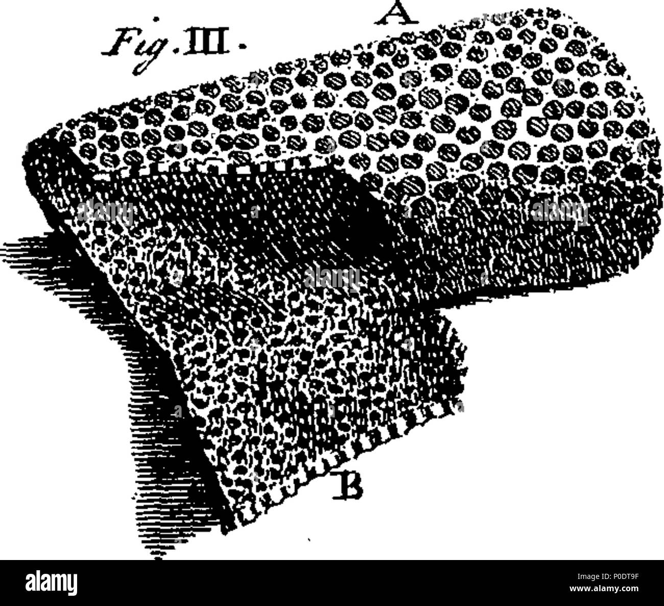 John verney Cut Out Stock Images & Pictures - Alamy