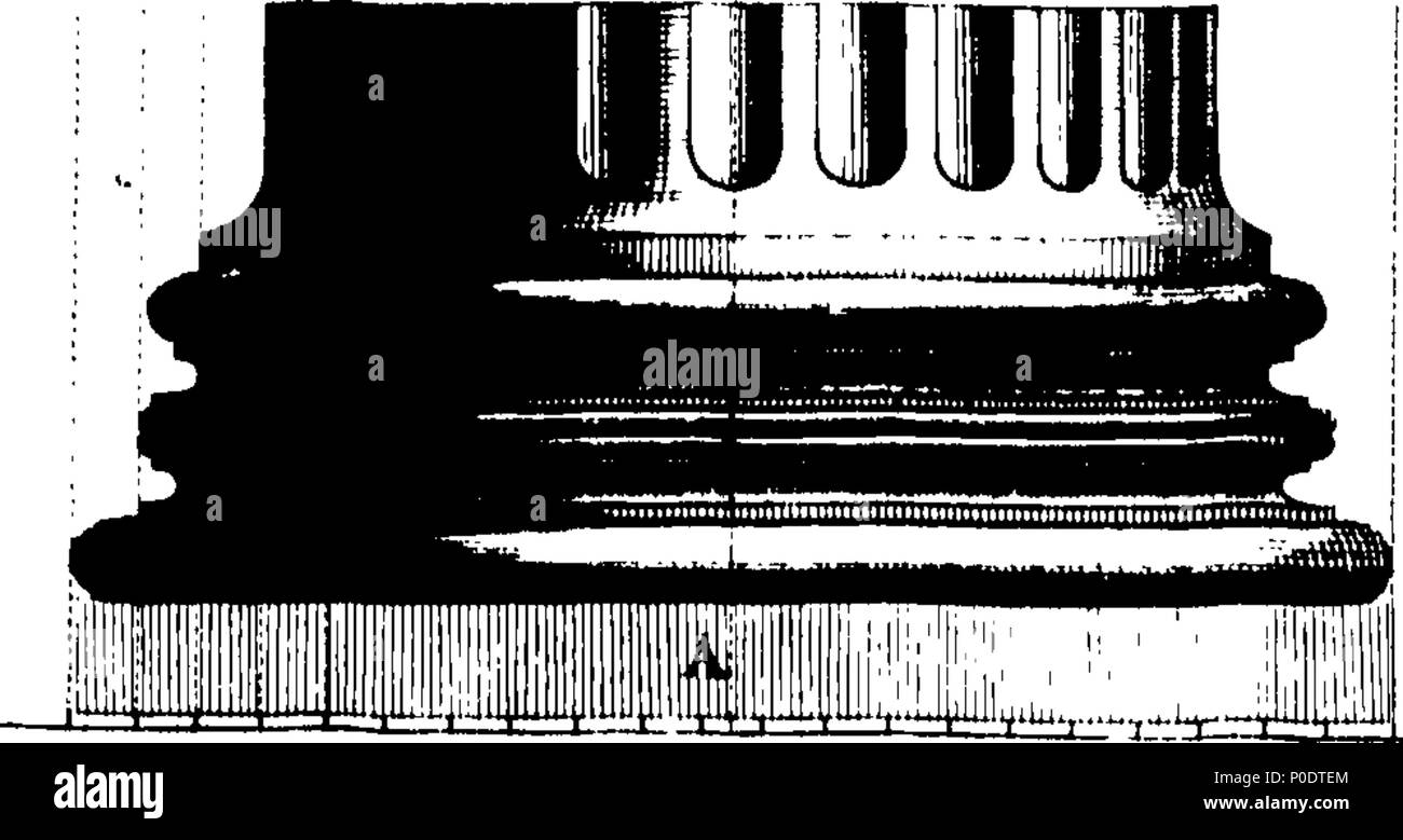 . English: Fleuron from book: A treatise of the five orders in ...