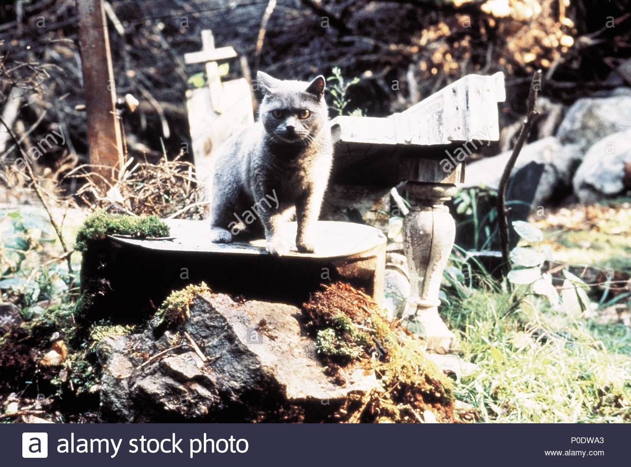 Pet Sematary 1989 Stock Photos & Pet Sematary 1989 Stock Images - Alamy