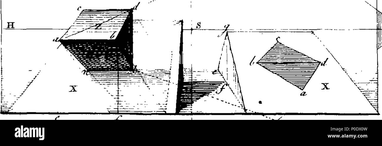 . English: Fleuron from book: A treatise of the theory and practice of ...