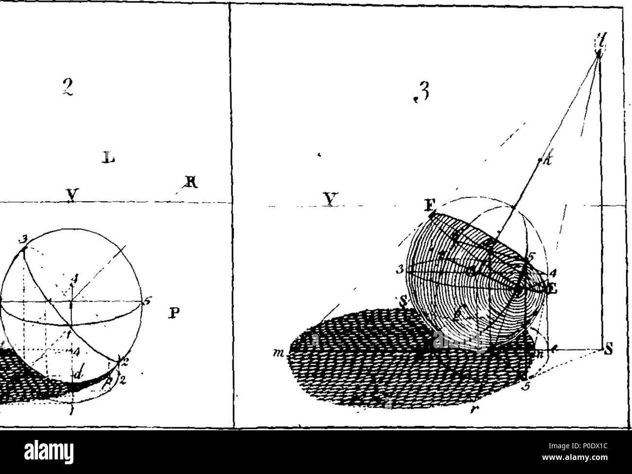 . English: Fleuron from book: A treatise of the theory and practice of ...