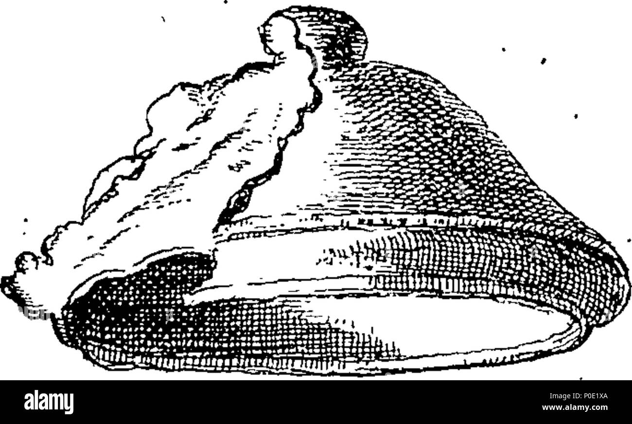 . English: Fleuron from book: A vindication of Stone-Heng restored: in ...