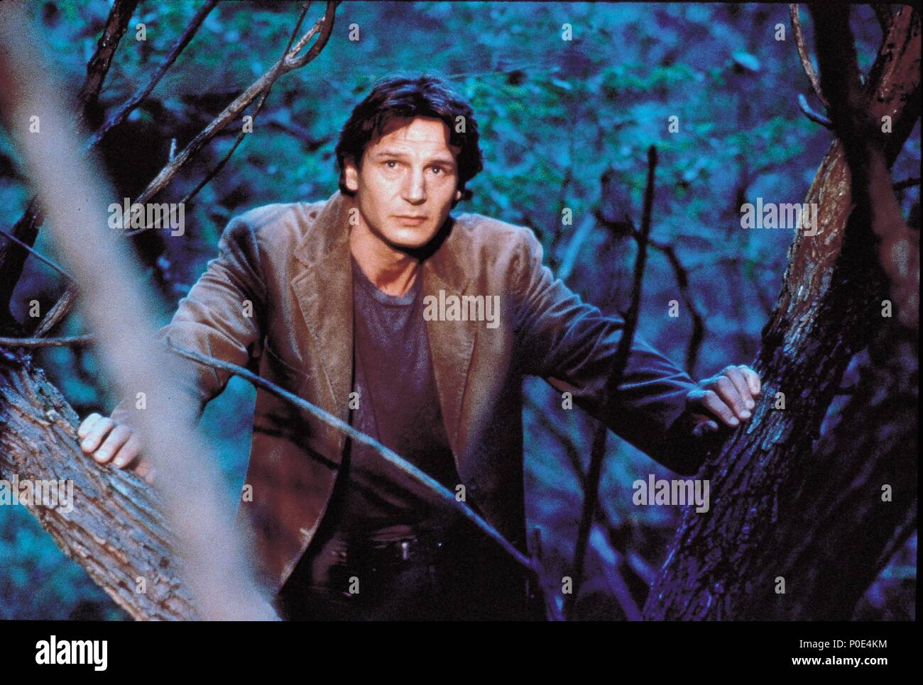 Nell 1994 liam neeson hi-res stock photography and images - Alamy