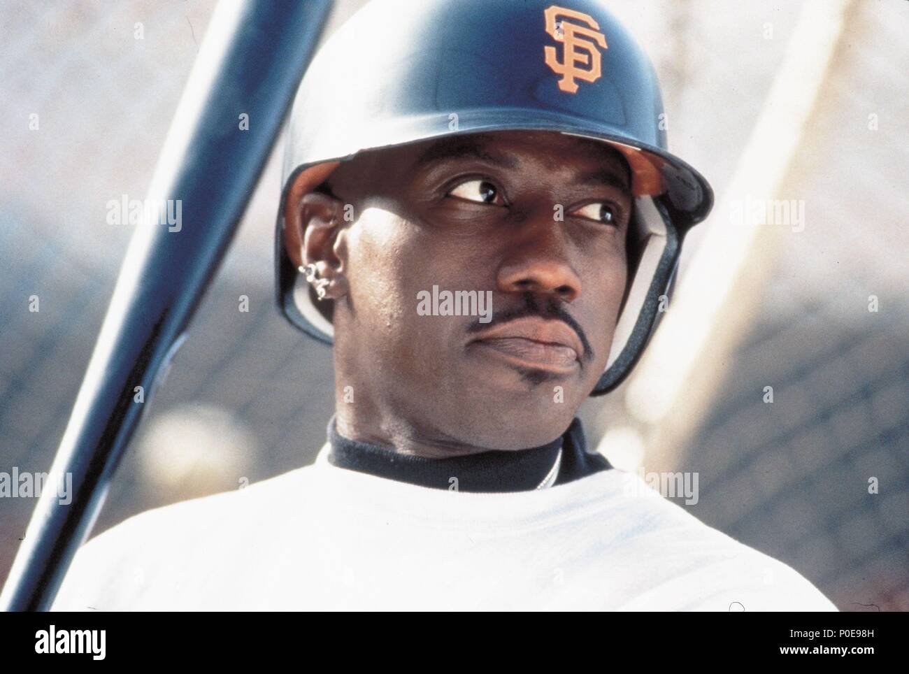 Original Film Title: THE FAN. English Title: THE FAN. Film Director ...