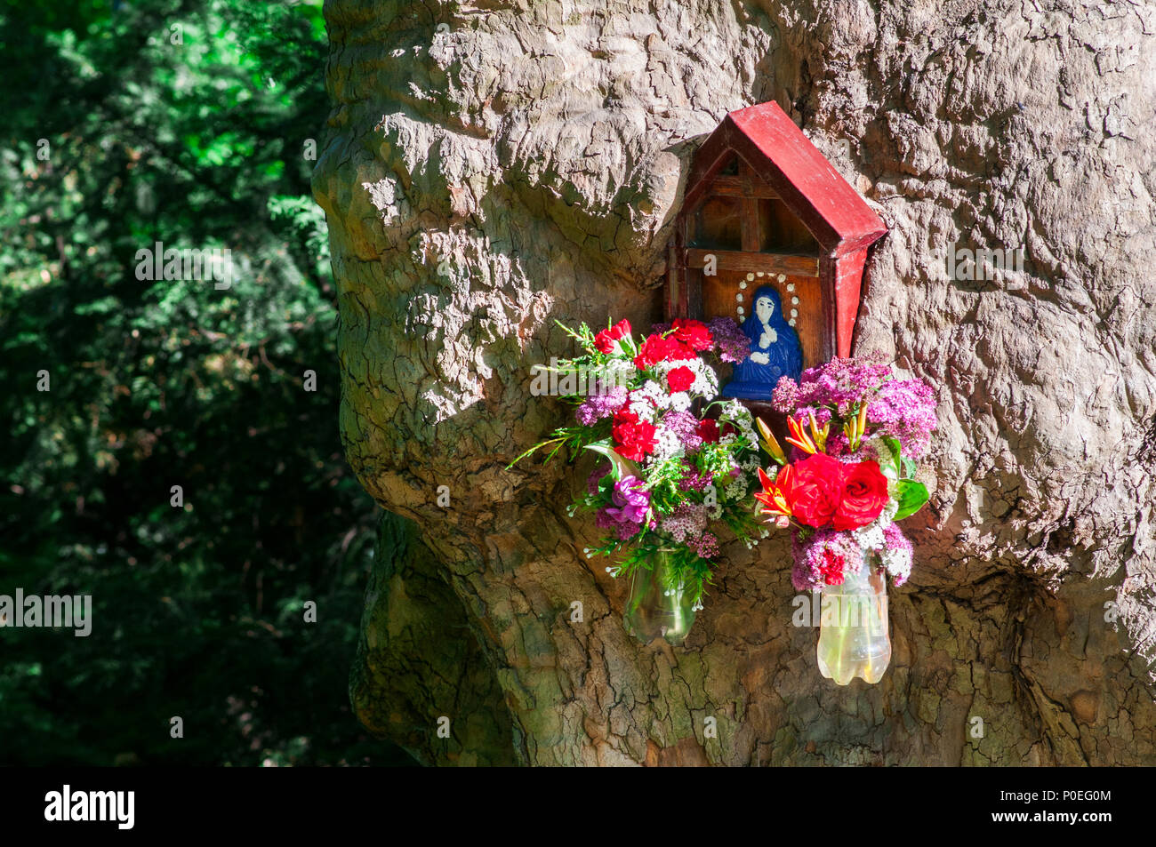 The shrine has grown into a tree hi-res stock photography and images ...