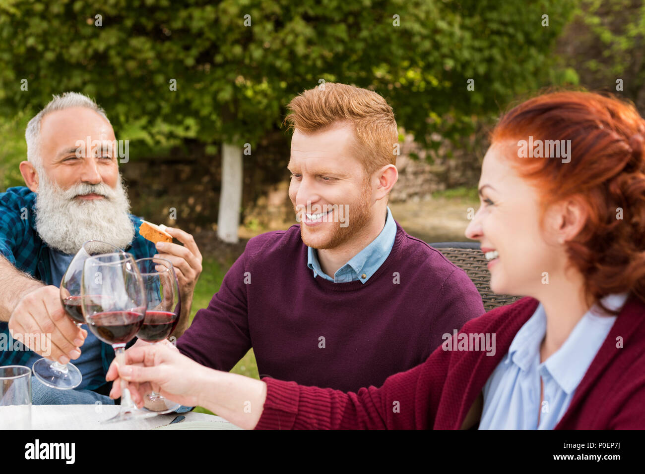 parents and adult son clinking glasses of wine while having dinner ...