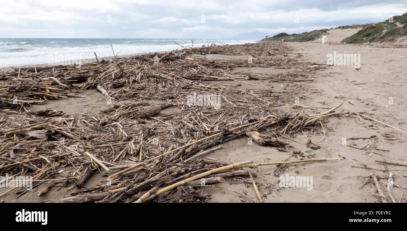 Beaches strewn hi-res stock photography and images - Alamy