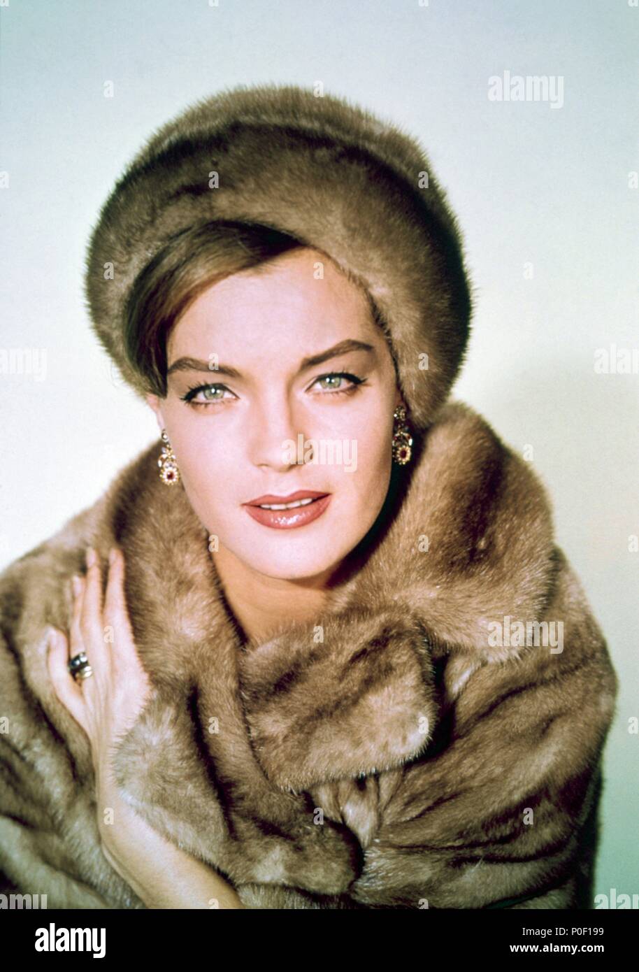 Original Film Title: GOOD NEIGHBOR SAM. English Title: GOOD NEIGHBOR ...