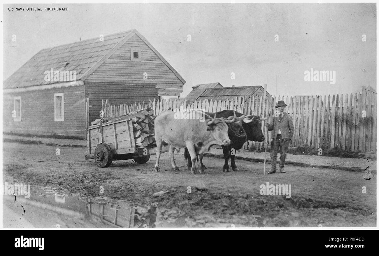 This was the era of oxen which Farragut housed in the stables, Bldg. 88 ...