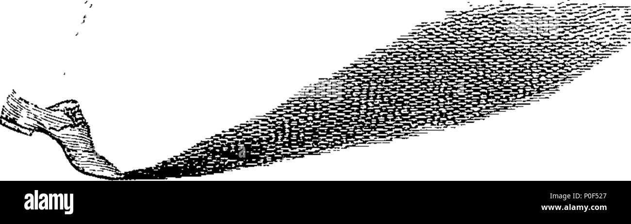 . English: Fleuron from book: A treatise on the art of dancing. By ...