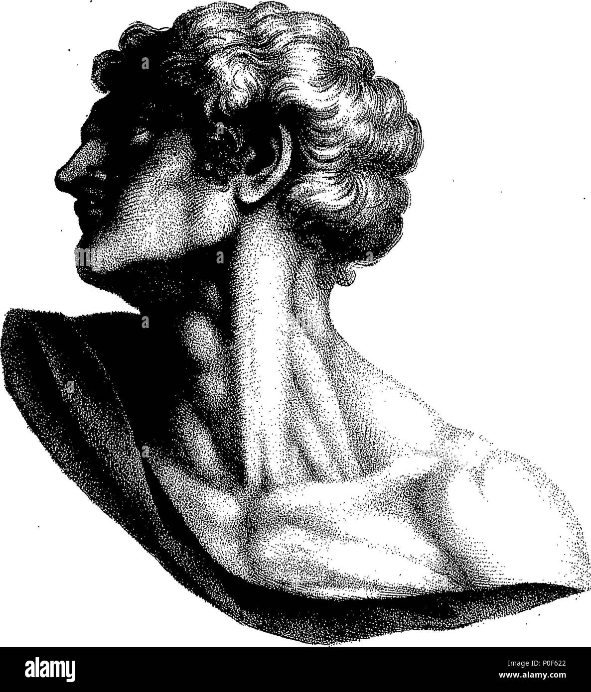 Muscular figure illustration hi-res stock photography and images - Alamy