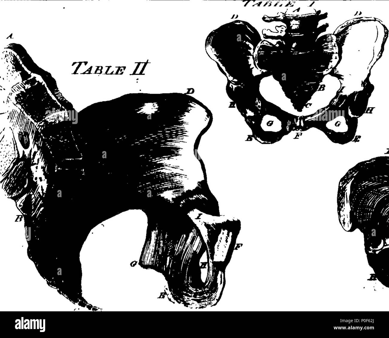 Preternatural hi-res stock photography and images - Alamy