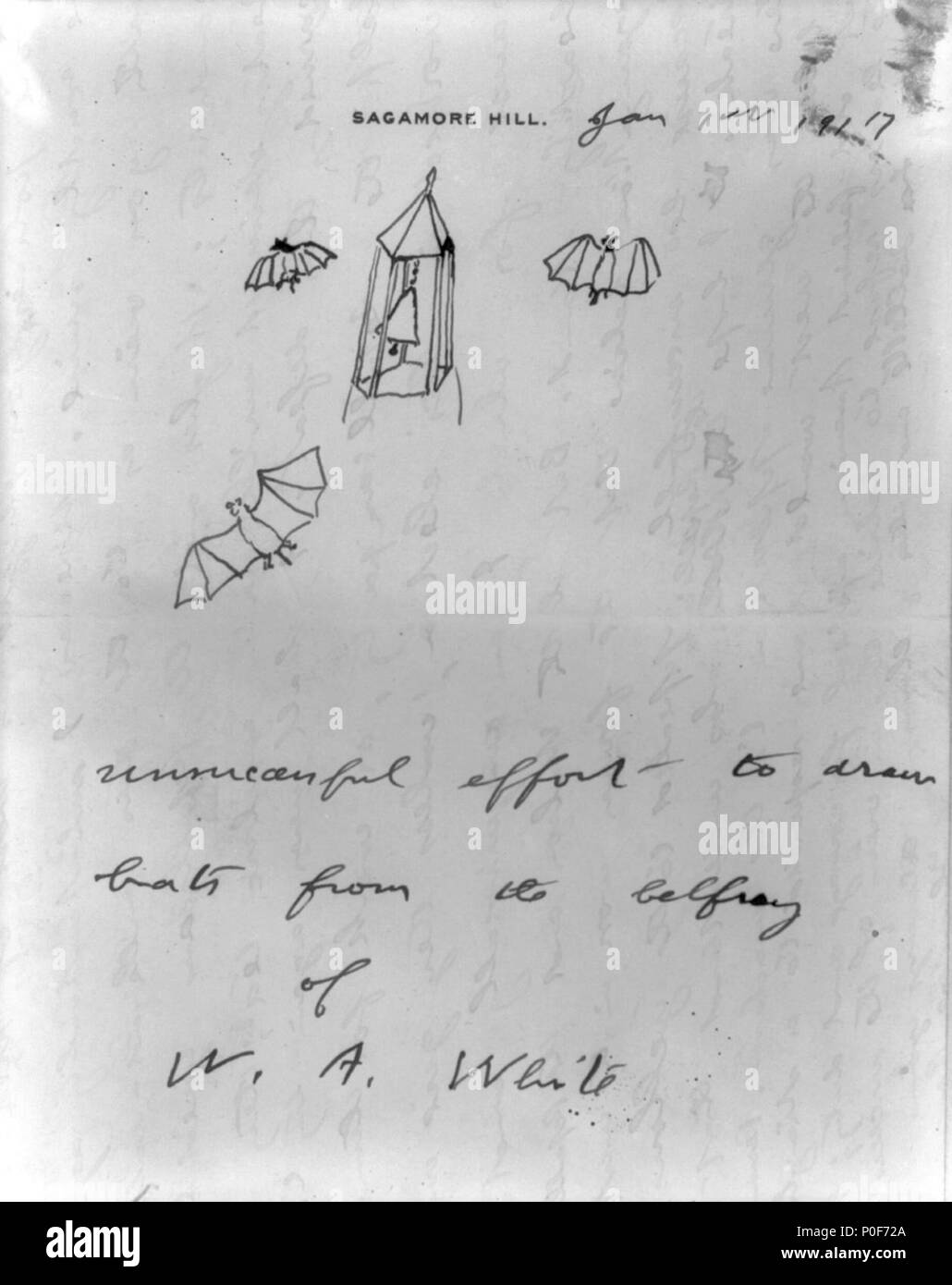 Unsuccessful effort to draw bats from the belfry of W.A. White A sketch ...