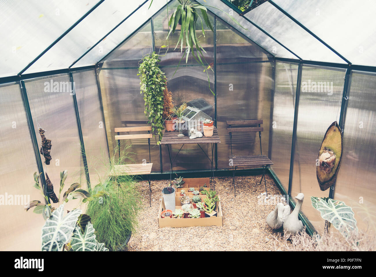 cactus house outdoor Stock Photo - Alamy