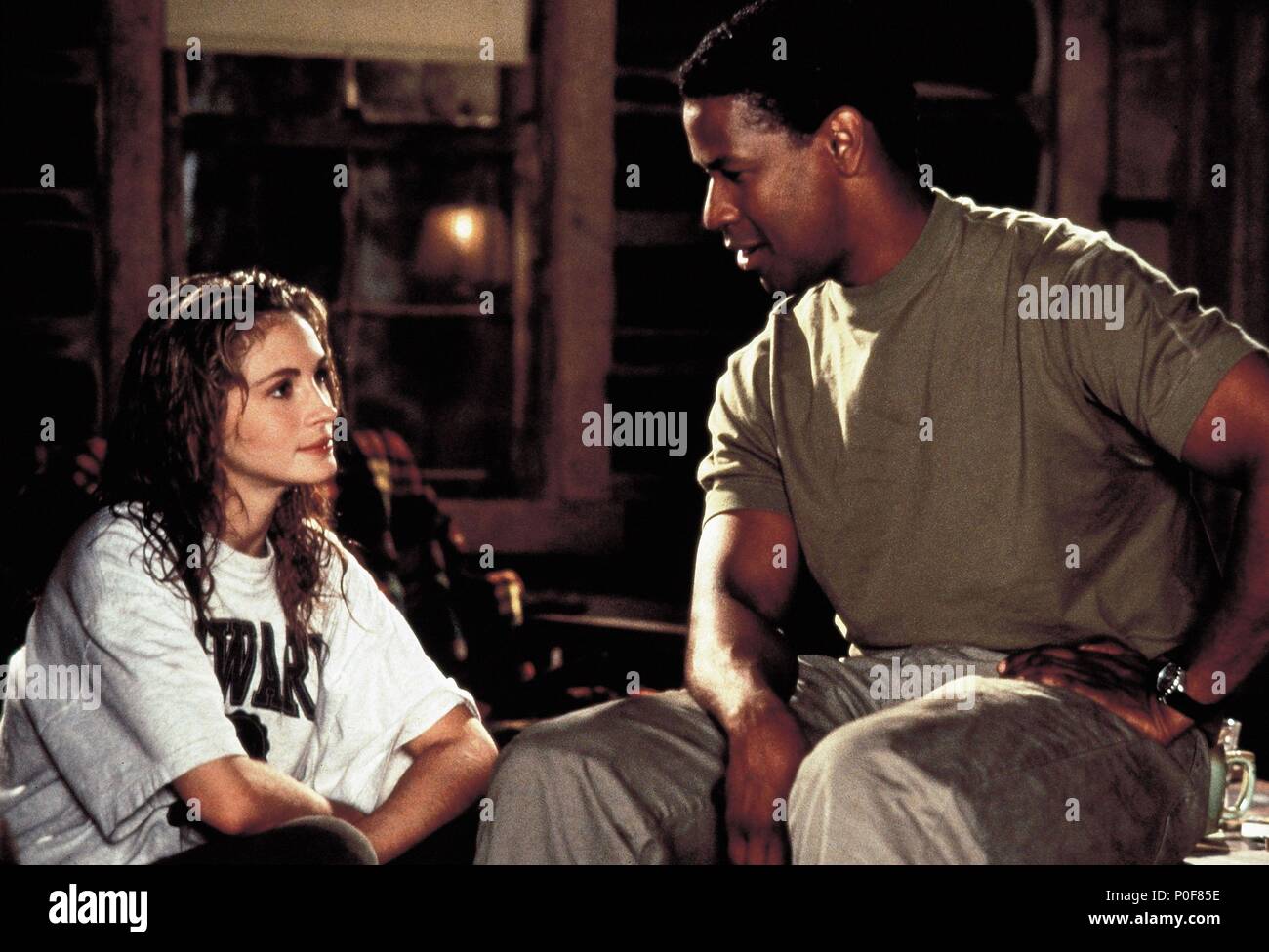 Original Film Title: THE PELICAN BRIEF. English Title: THE PELICAN ...