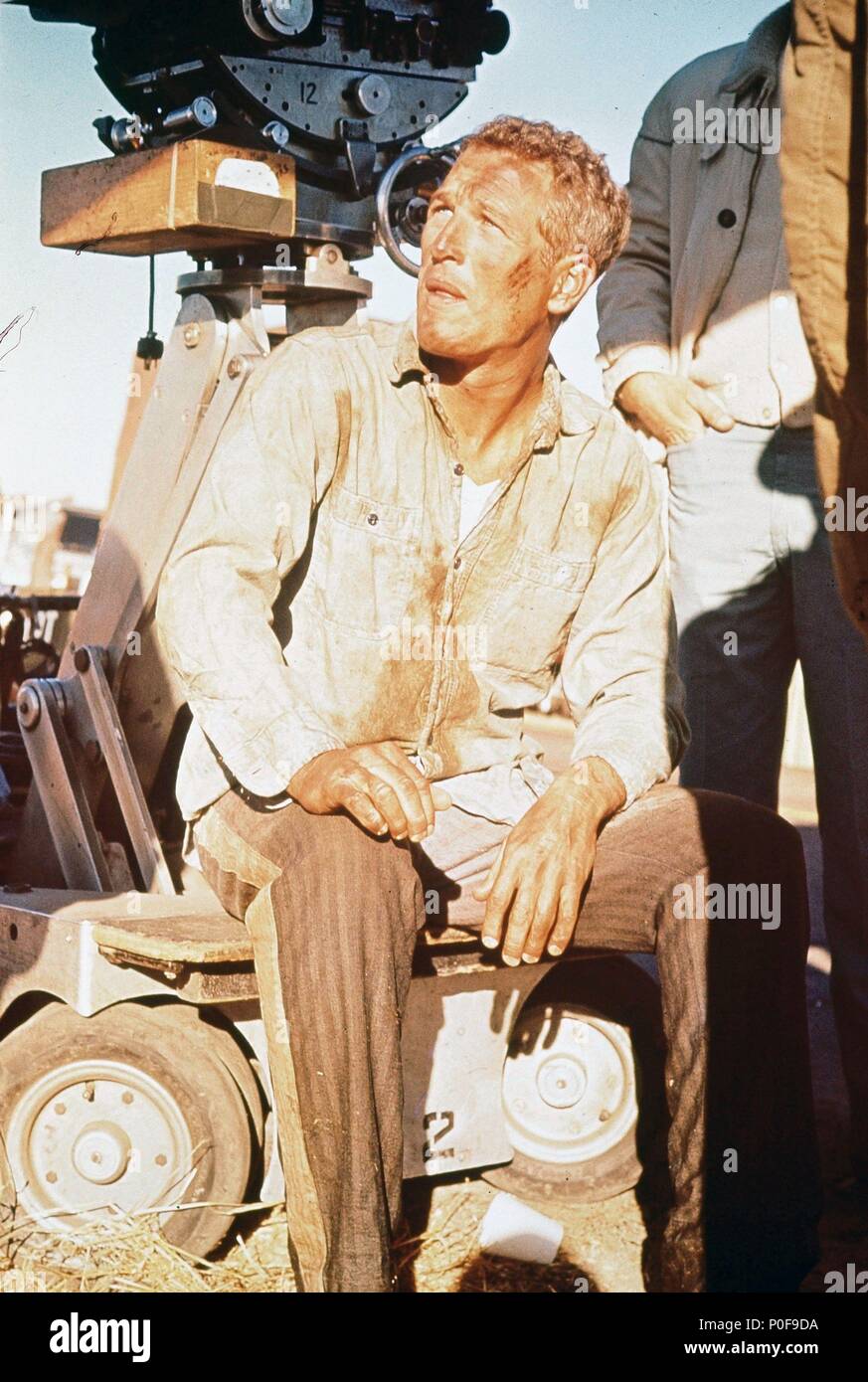 Original Film Title: COOL HAND LUKE. English Title: COOL HAND LUKE ...